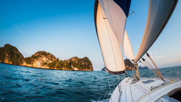 Look up Your NPN: Fast & Free Official Lookup Tool