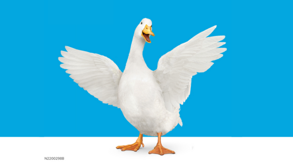 Aflac Final Expense