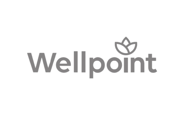 Wellpoint ACA Health Plans