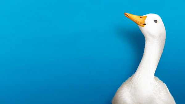 Aflac Call Center Solutions